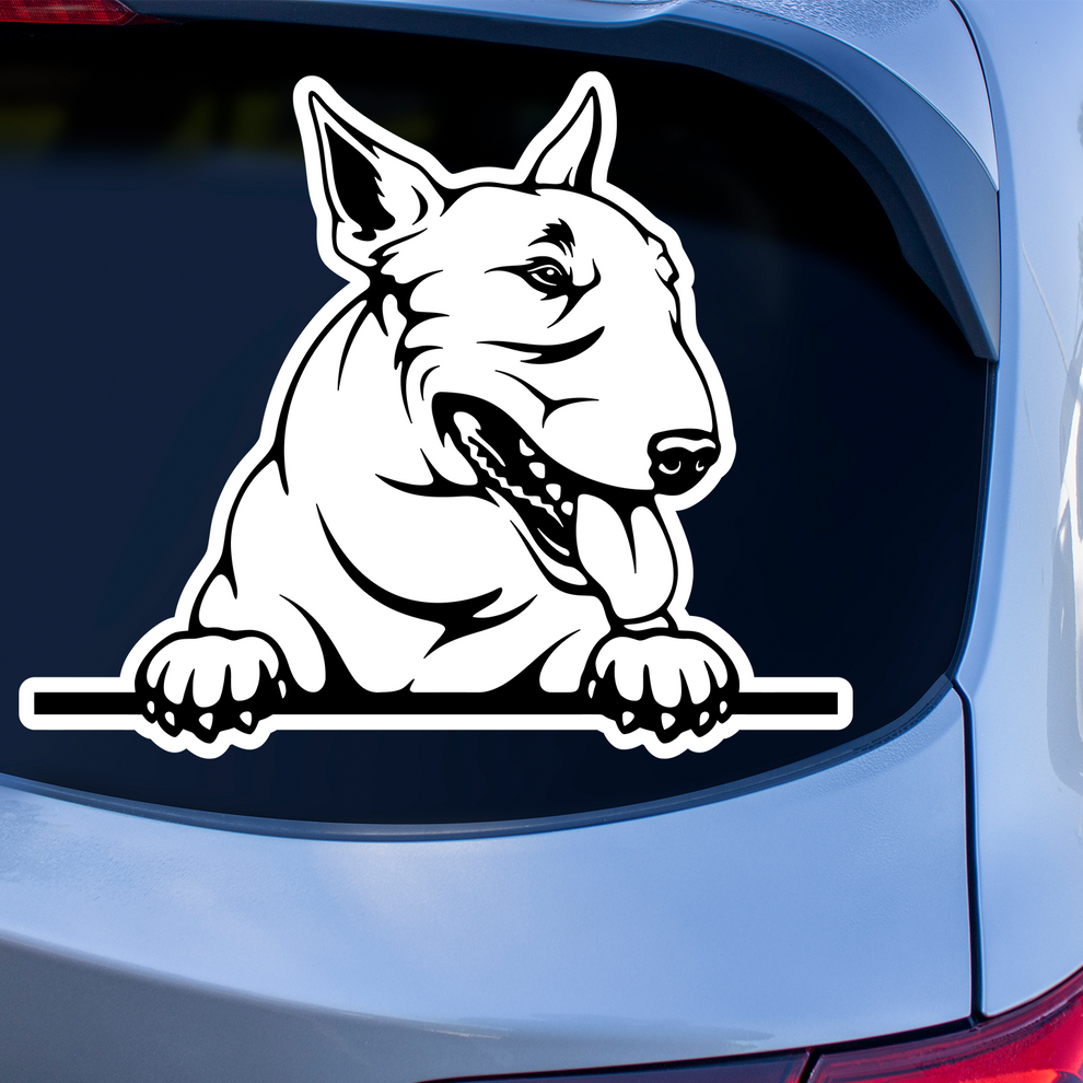 Open media 1 in modal