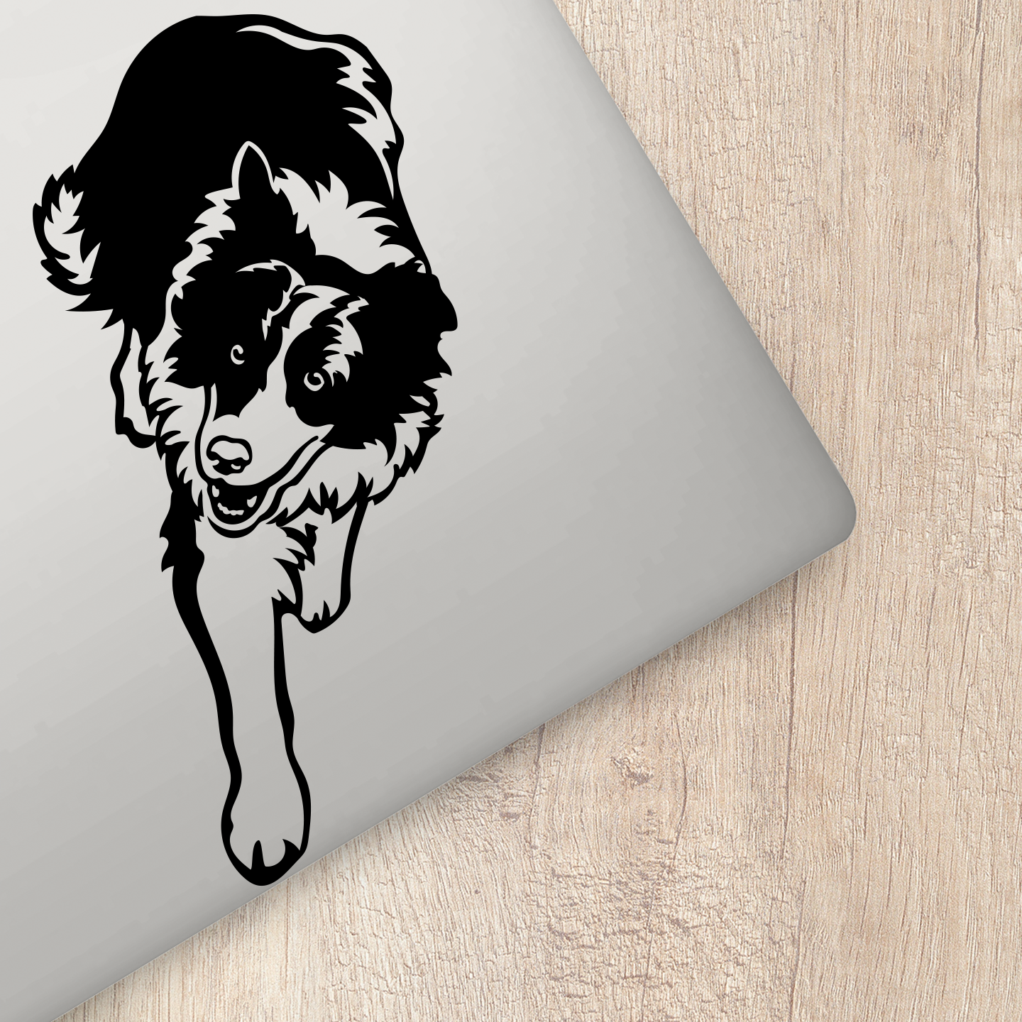 Border Collie Sticker | Dog Stickers For Cars Australia – Pet Stickers ...