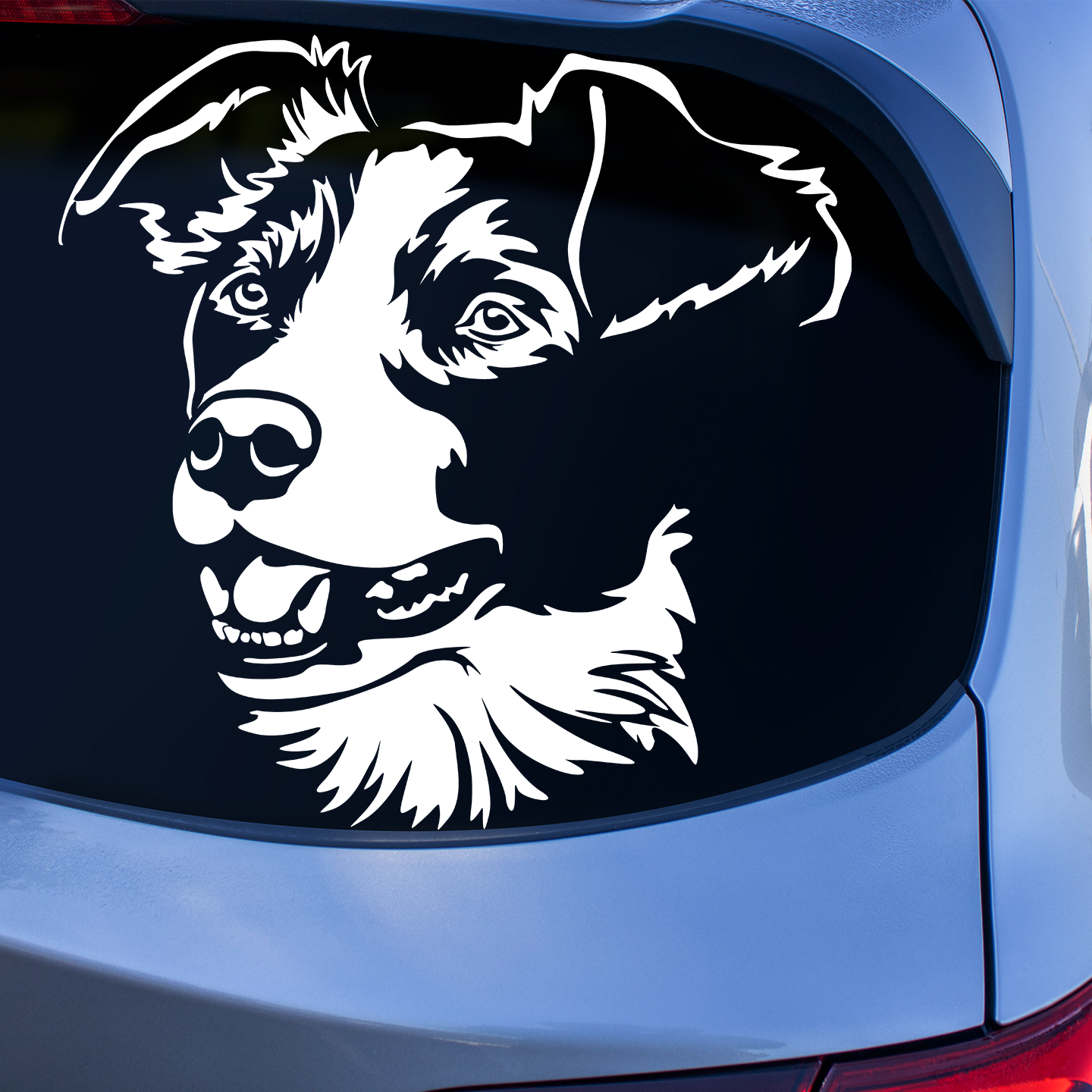 Border Collie Smooth Coat Sticker | Dog Car Decals Australia – Pet ...