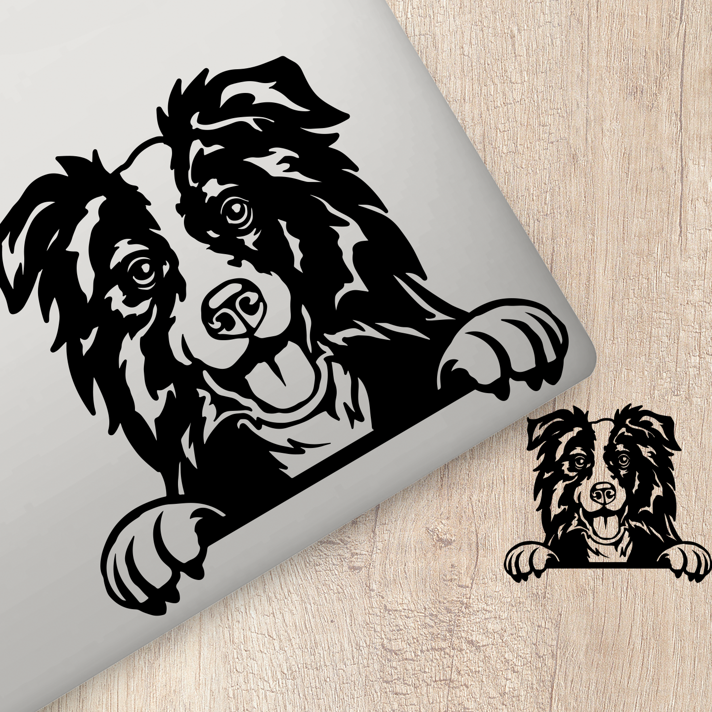 Border Collie Sticker | Dog Stickers For Cars Australia – Pet Stickers ...