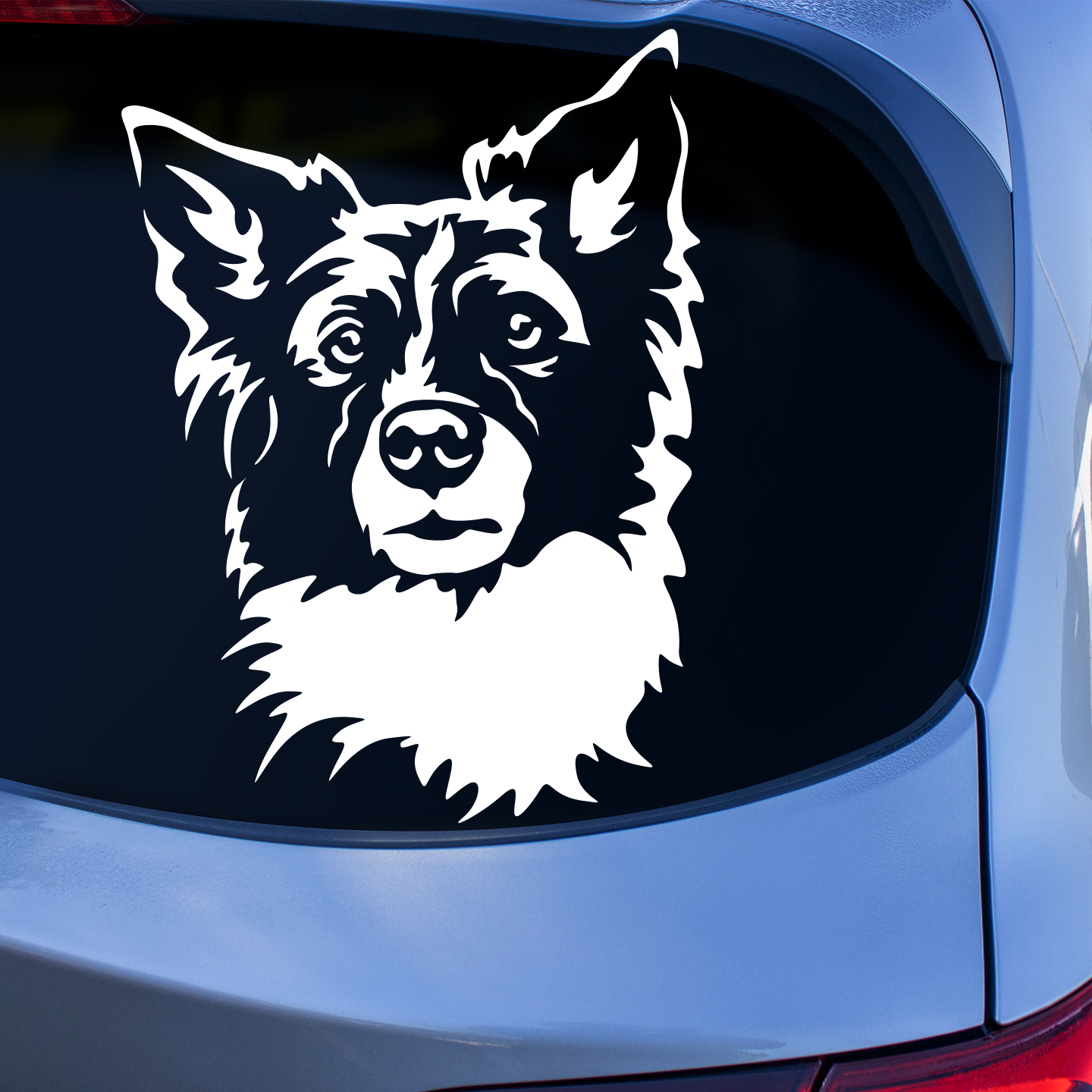 Border Collie Smooth Coat Sticker | Dog Car Decals Australia – Pet ...