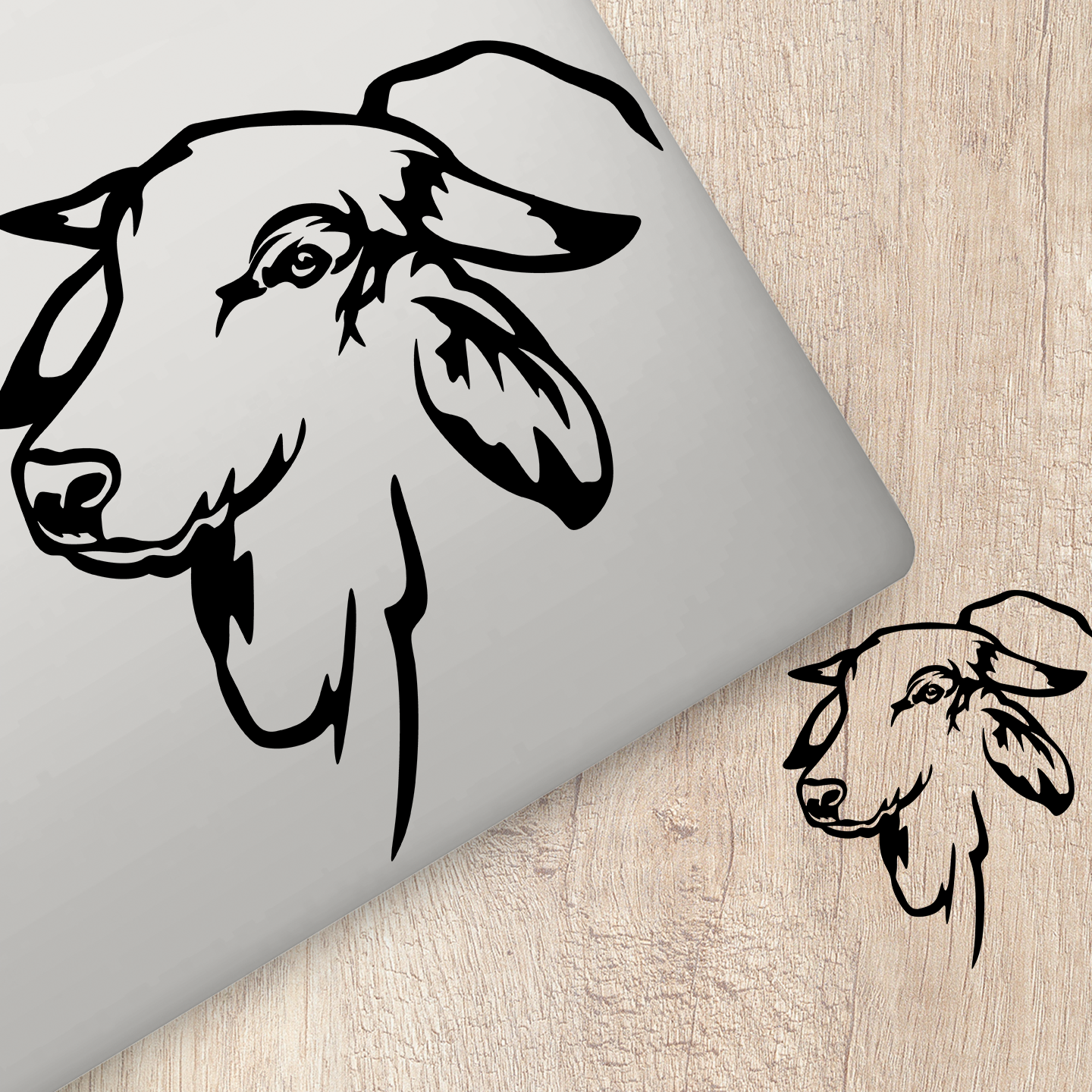 Brahman Cattle Sticker | Cow Stickers For Cars Australia – Pet Stickers ...
