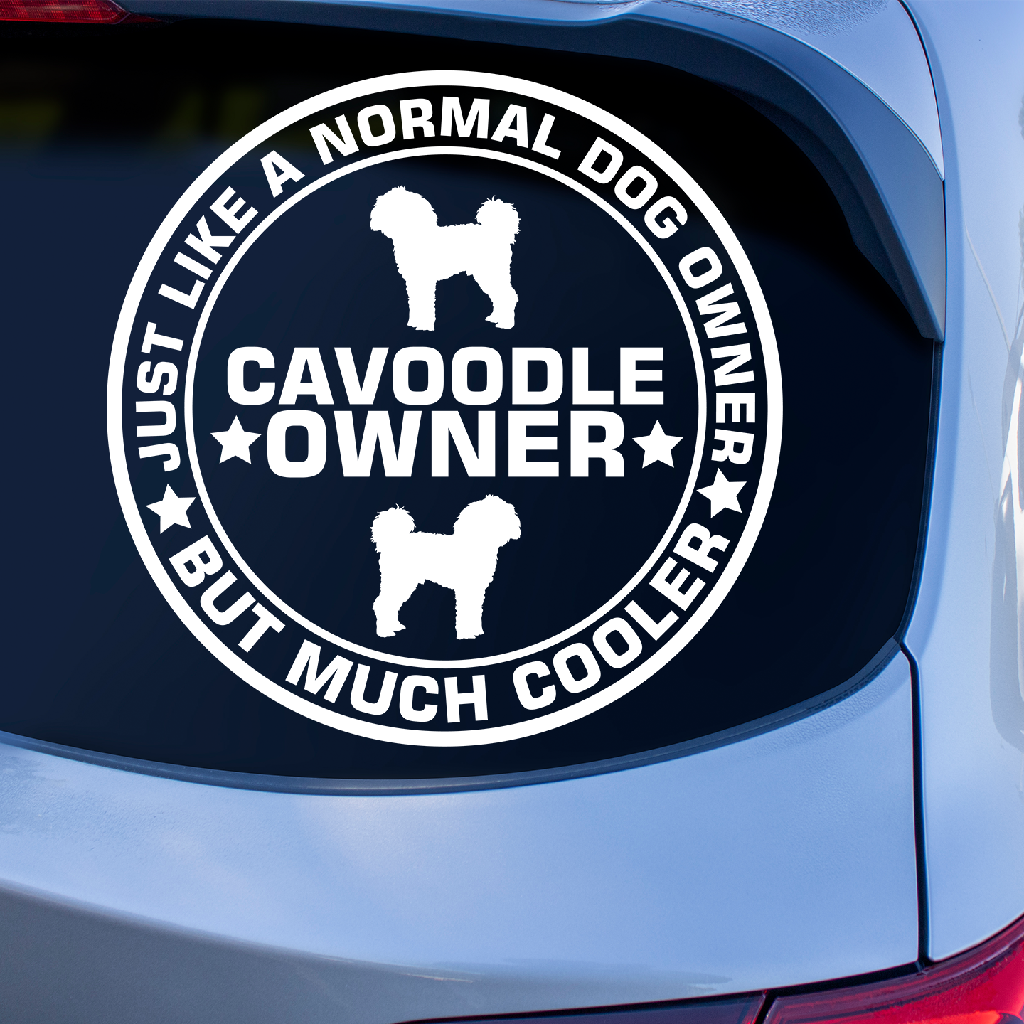 Cavoodle Owner Sticker | Dog Stickers For Cars Australia – Pet Stickers ...