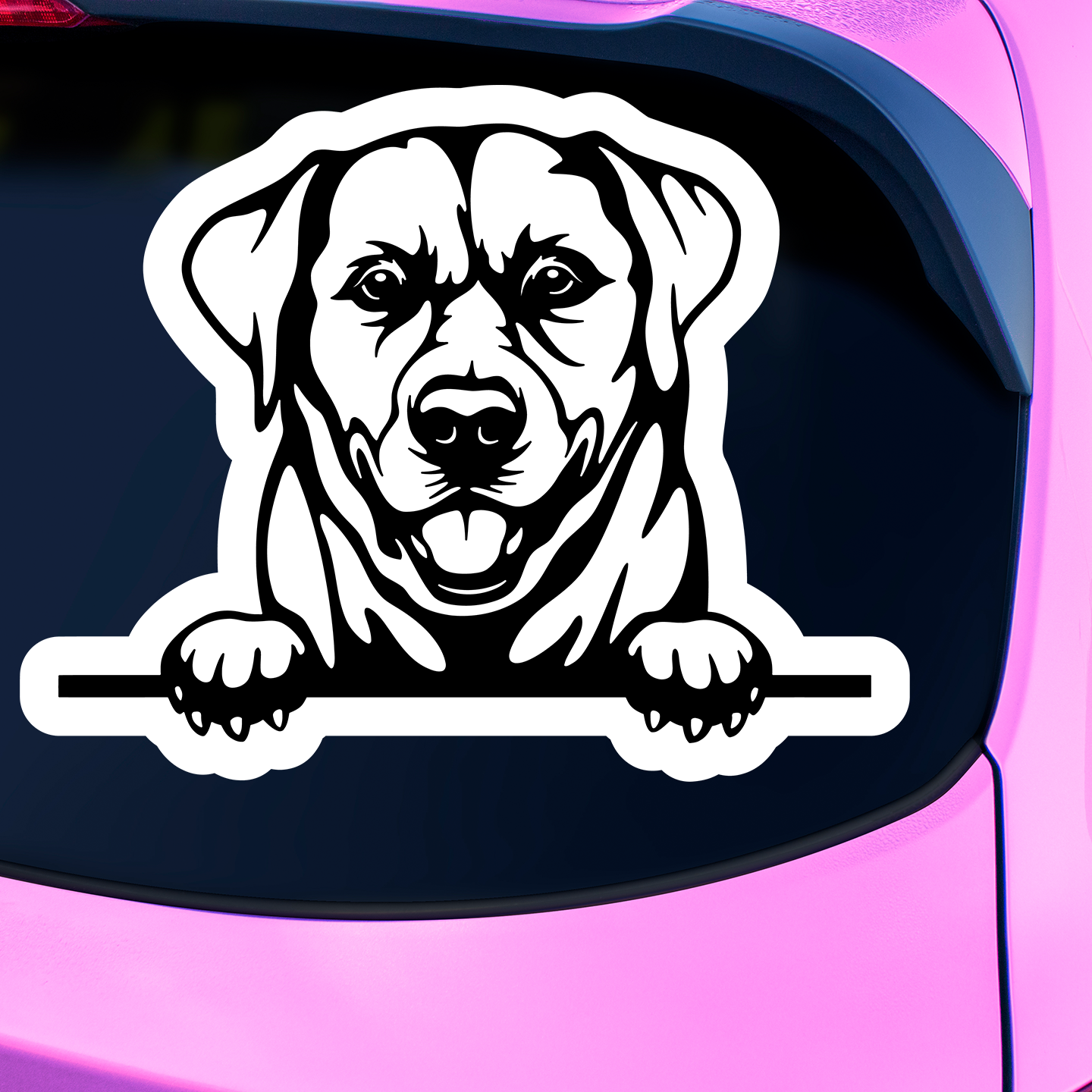 Labrador Retriever Sticker | Dog Stickers For Cars Australia – Pet ...