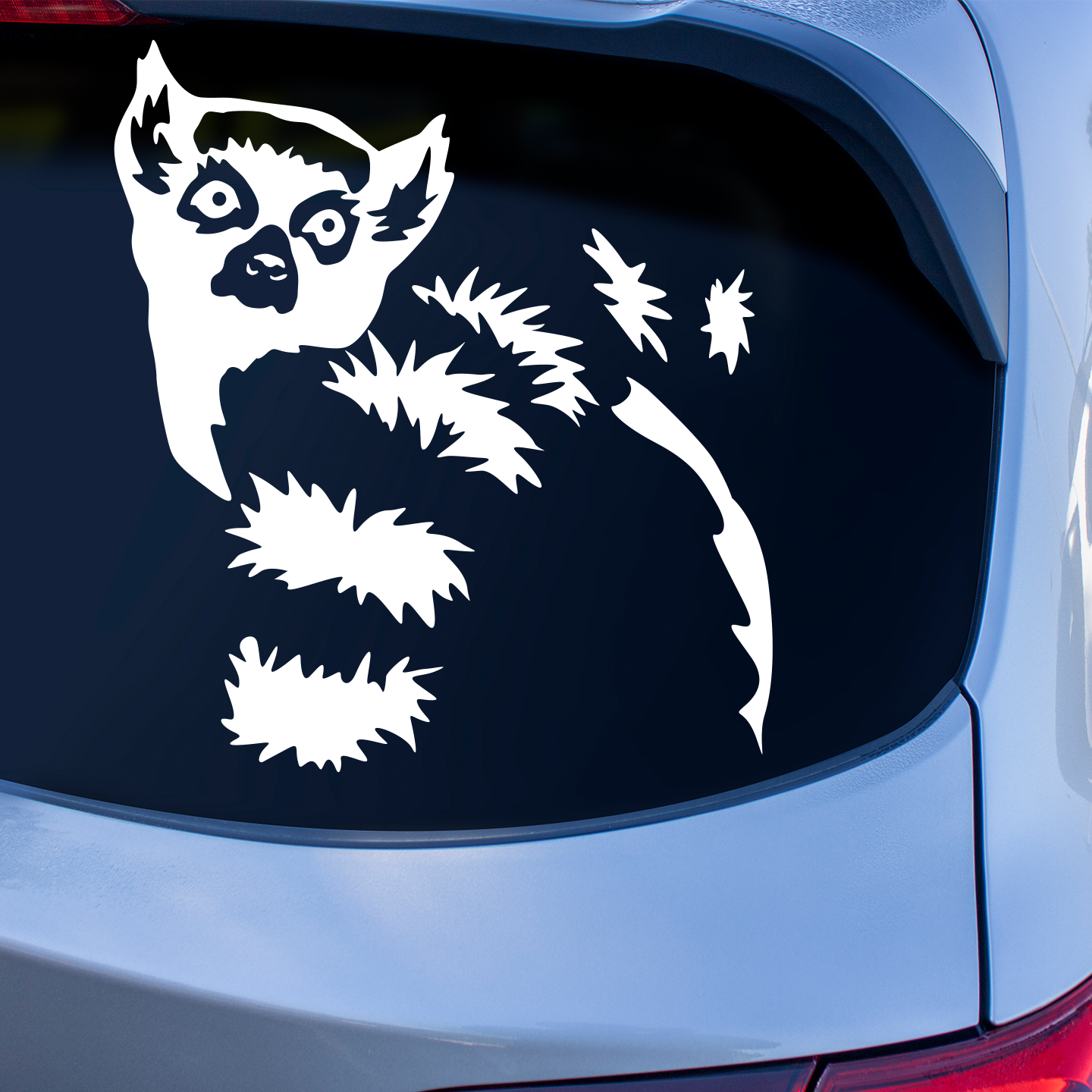 Lemur Sticker | Animal Stickers For Cars Australia – Pet Stickers Australia