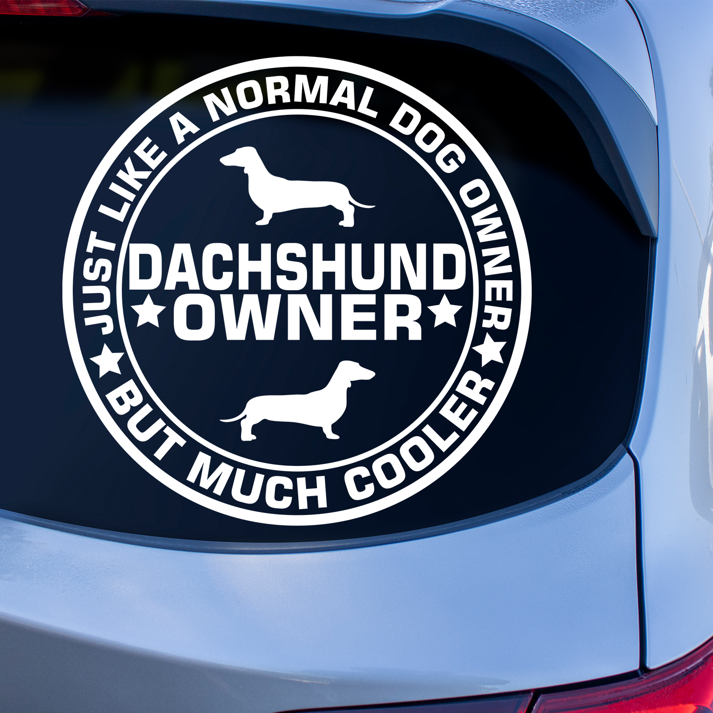 Dachshund Owner Sticker | Dog Stickers For Cars Australia – Pet ...
