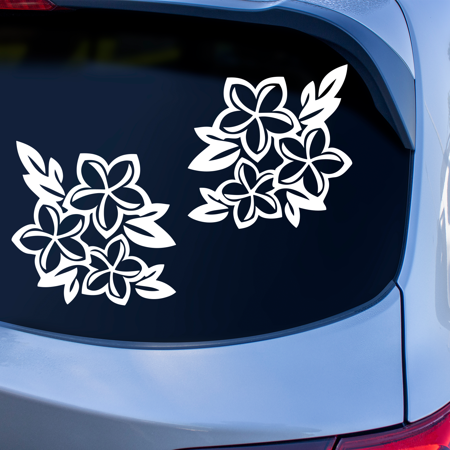 Frangipani Stickers | Retro Flower Stickers For Cars Australia – Pet ...