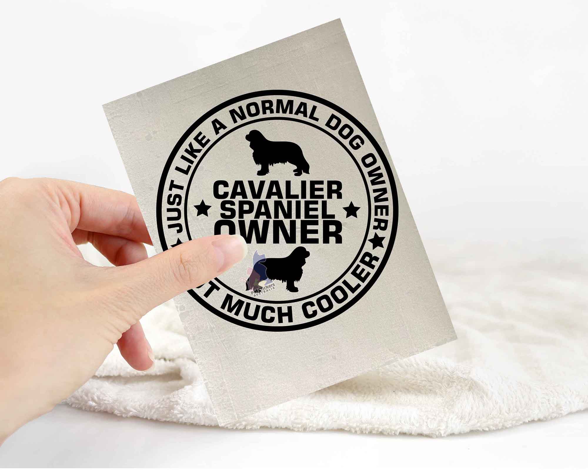 Cavalier Spaniel Owner Sticker | Dog Stickers Cars Australia – Pet ...