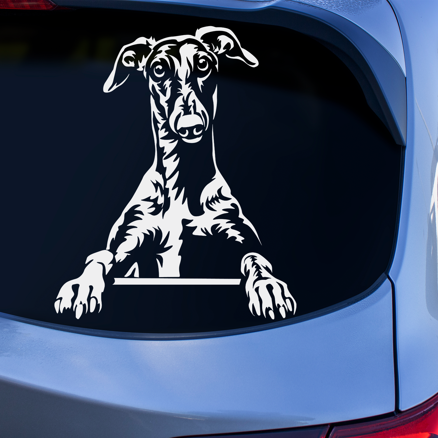 Greyhound Peeping Sticker | Dog Stickers For Cars Australia – Pet ...