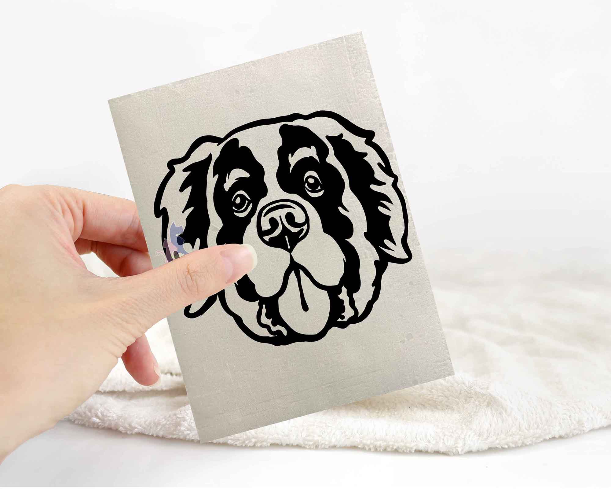 Saint Bernard Sticker | Dog Stickers For Cars Australia – Pet Stickers ...