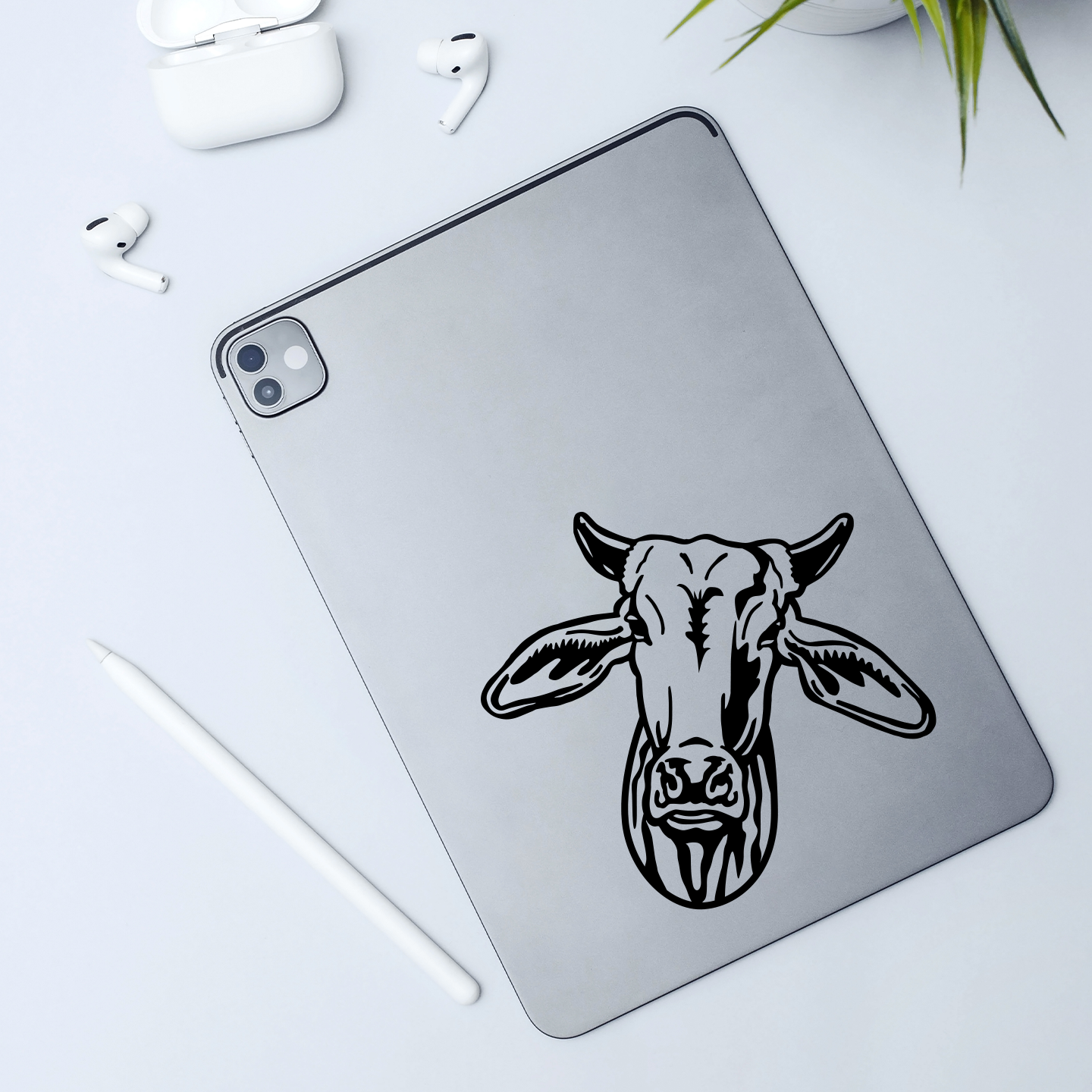 Brahman Cattle Sticker