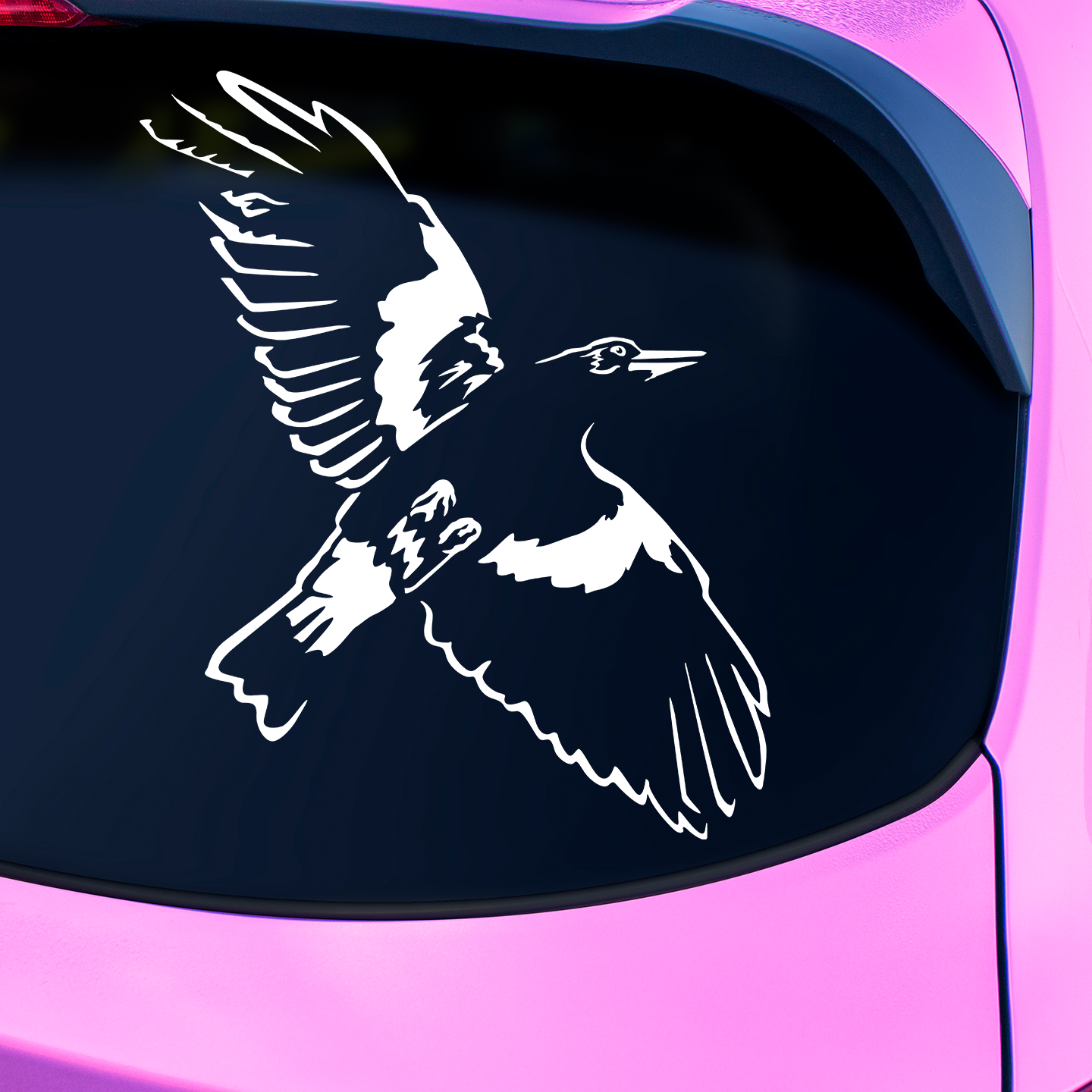 Magpie Sticker | Australian Native Bird Stickers For Cars – Pet ...