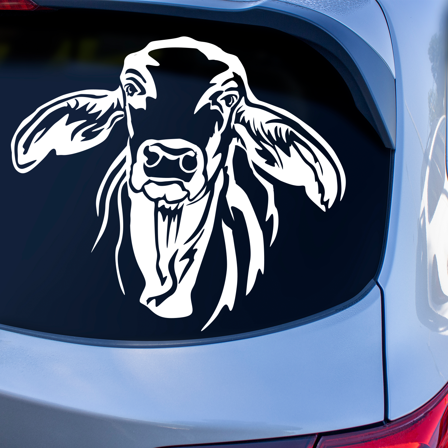Brahman Cattle Sticker | Cow Stickers For Cars Australia – Pet Stickers ...