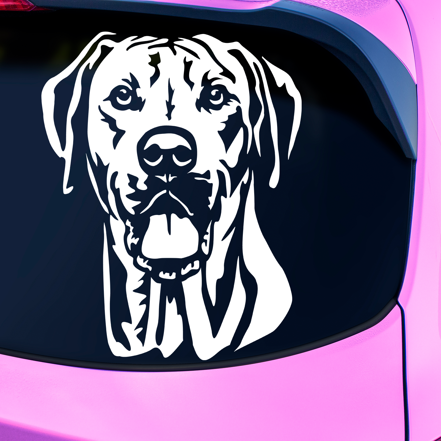Rhodesian Ridgeback Sticker | Dog Decals For Cars Australia – Pet ...