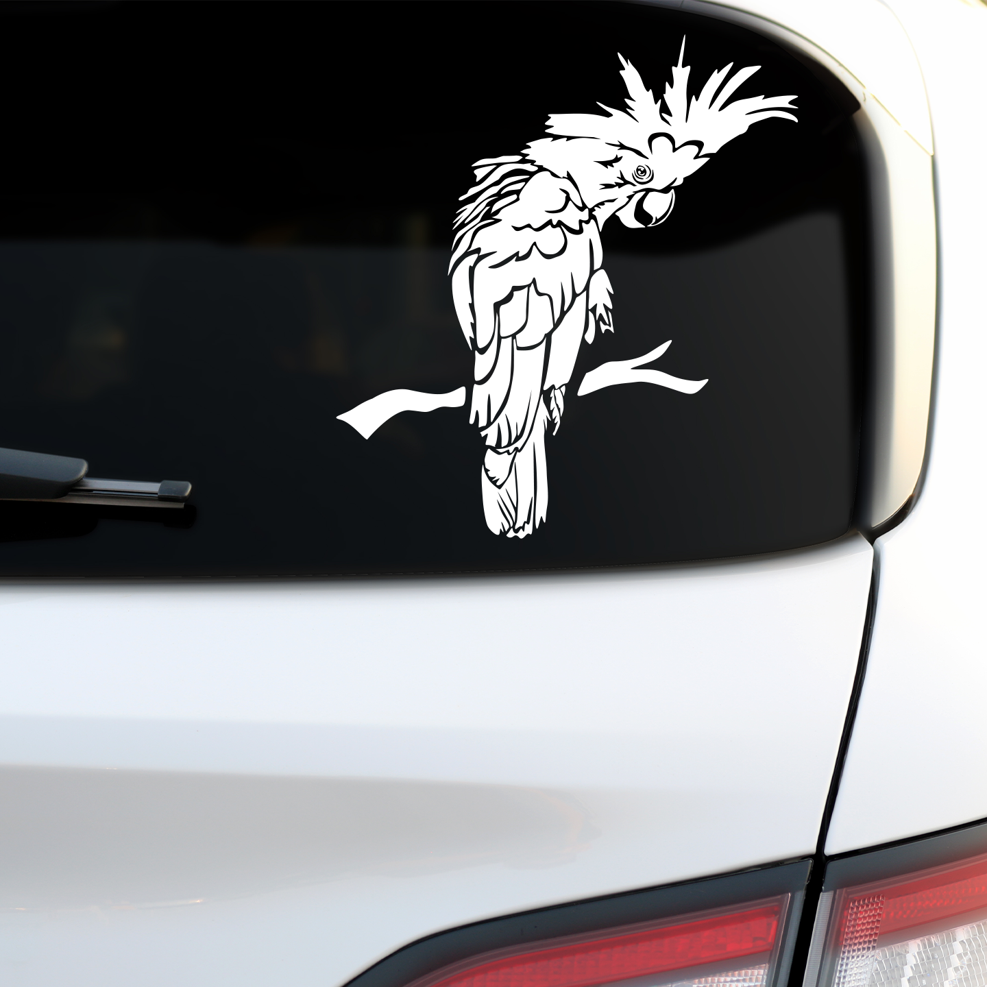 Cockatoo Sticker